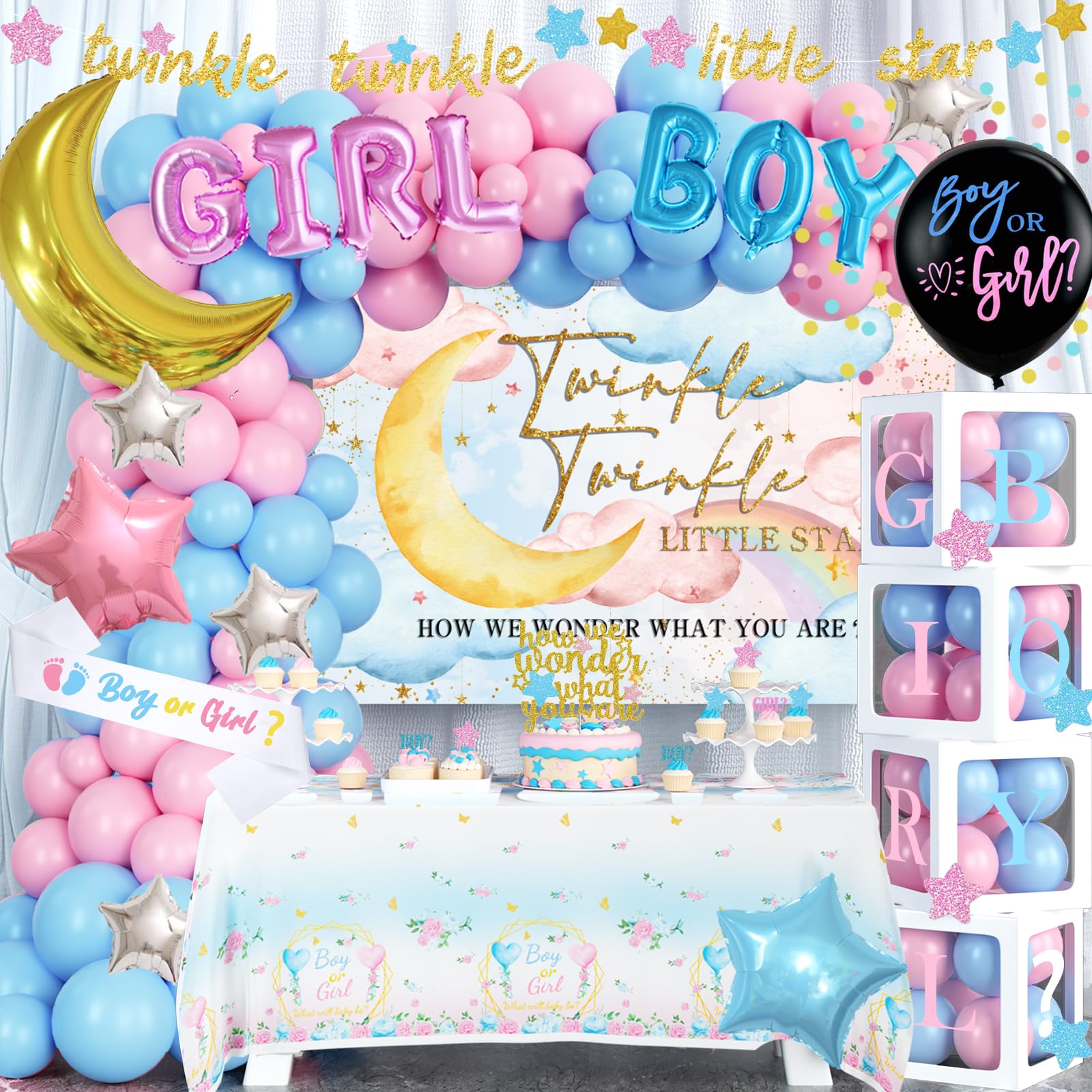 Fiesec Twinkle Twinkle Little Star Gender Reveal Decorations, 136PCS ...