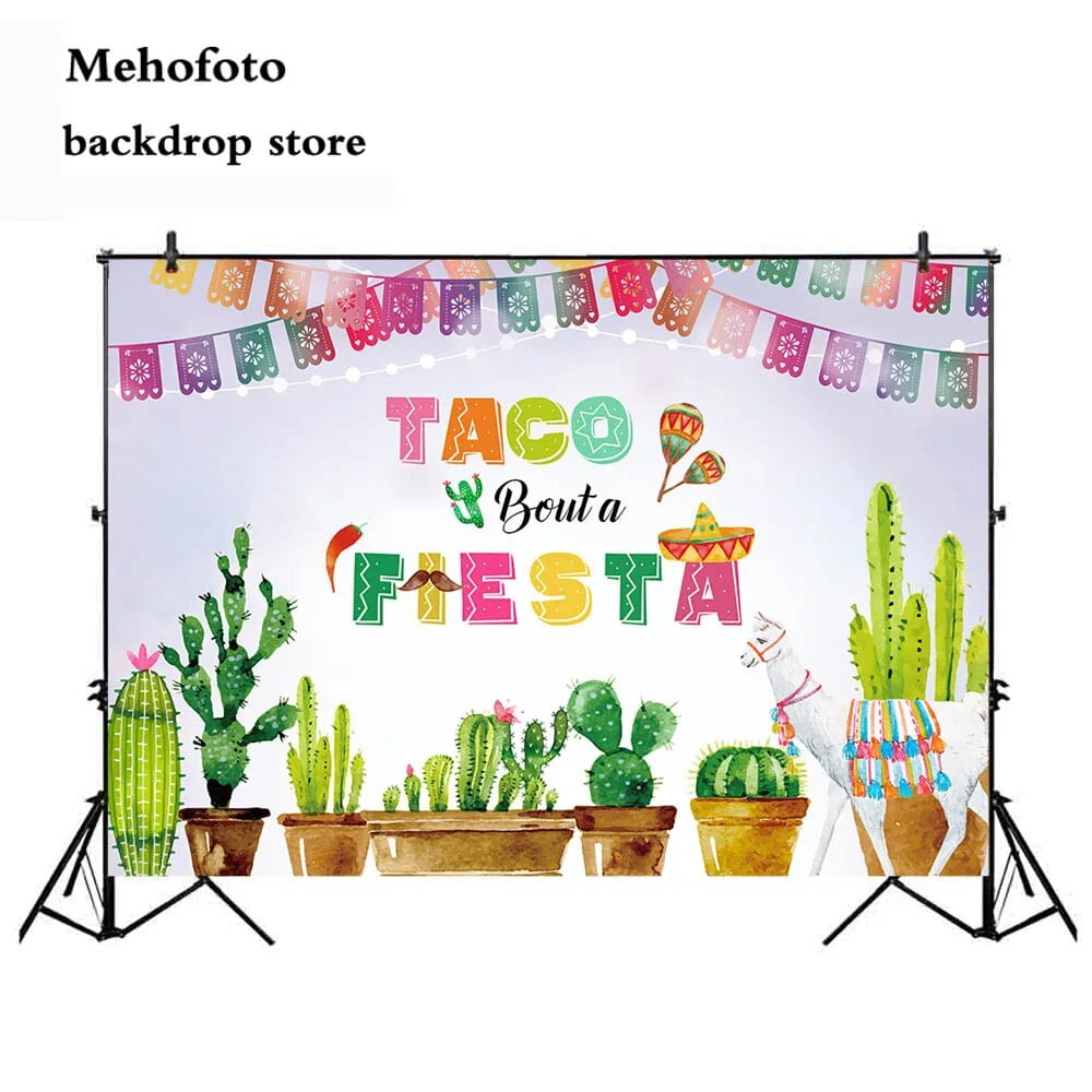 Fiesta Mexico Festival Photography Backdrop Carnival Photo Background ...