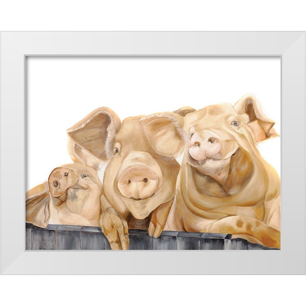 Fifer, Diane 18x15 White Modern Wood Framed Museum Art Print Titled ...