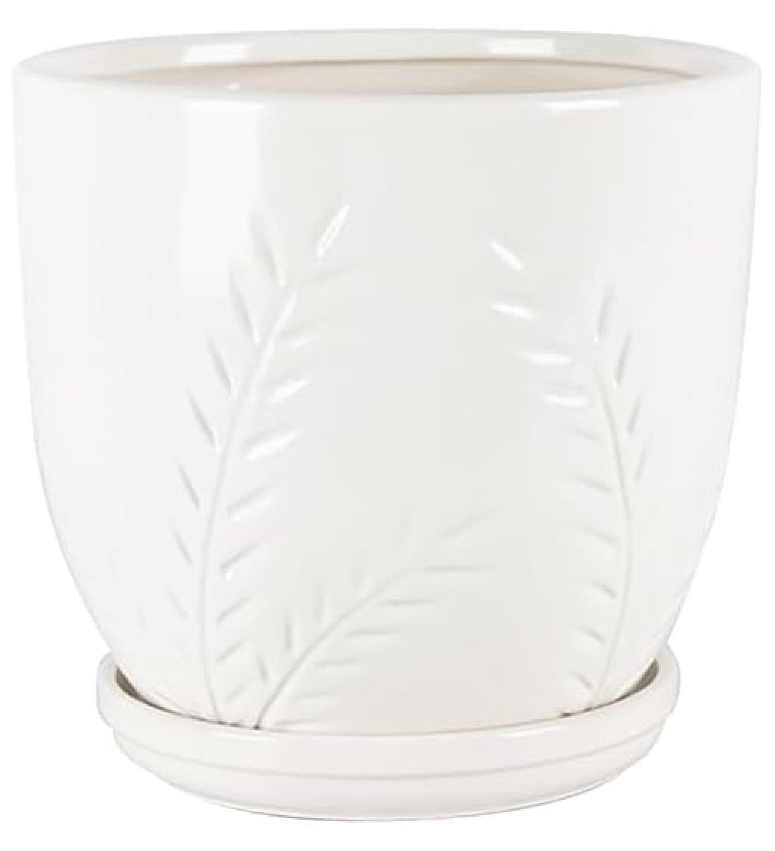 & Fig White 8 Inch Indoor Ceramic Plant Pot with an Attached Saucer and ...