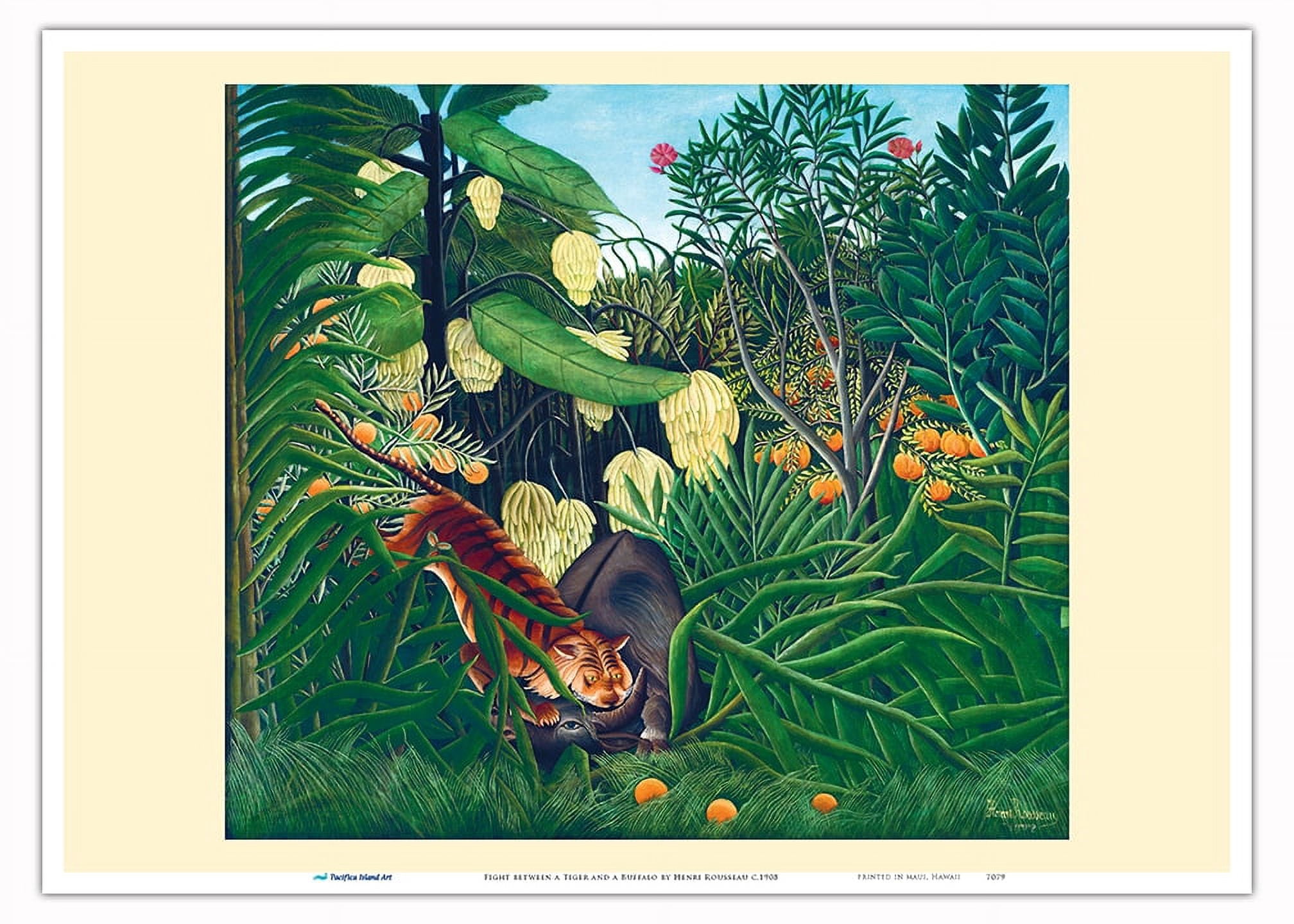 Fight between a Tiger and a Buffalo - From an Original Color Painting ...