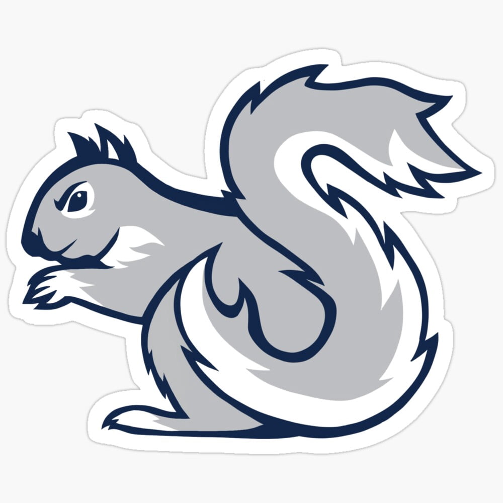 Fighting Squirrel Sticker Phone Decal Water Bottle Stickers Car Decals ...