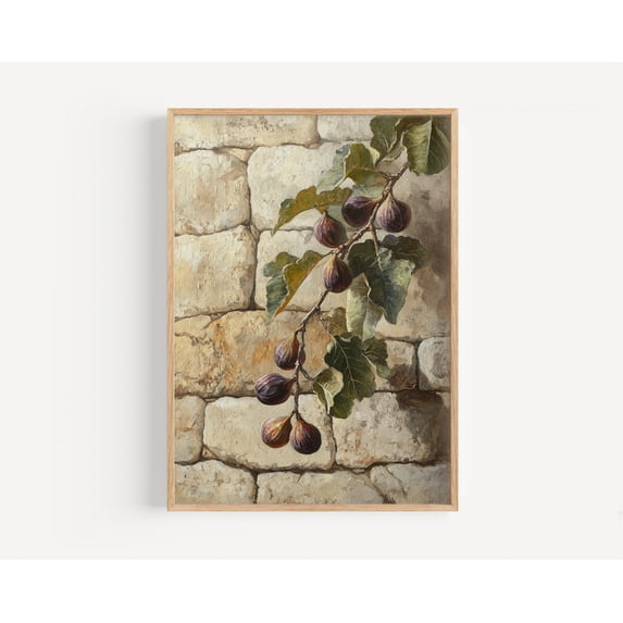 Figs On The Vine, Biblical Fruit, Rustic Still Life, Jesus Parable Art ...