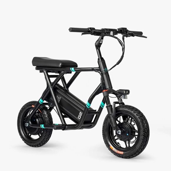2 Person Electric Scooter
