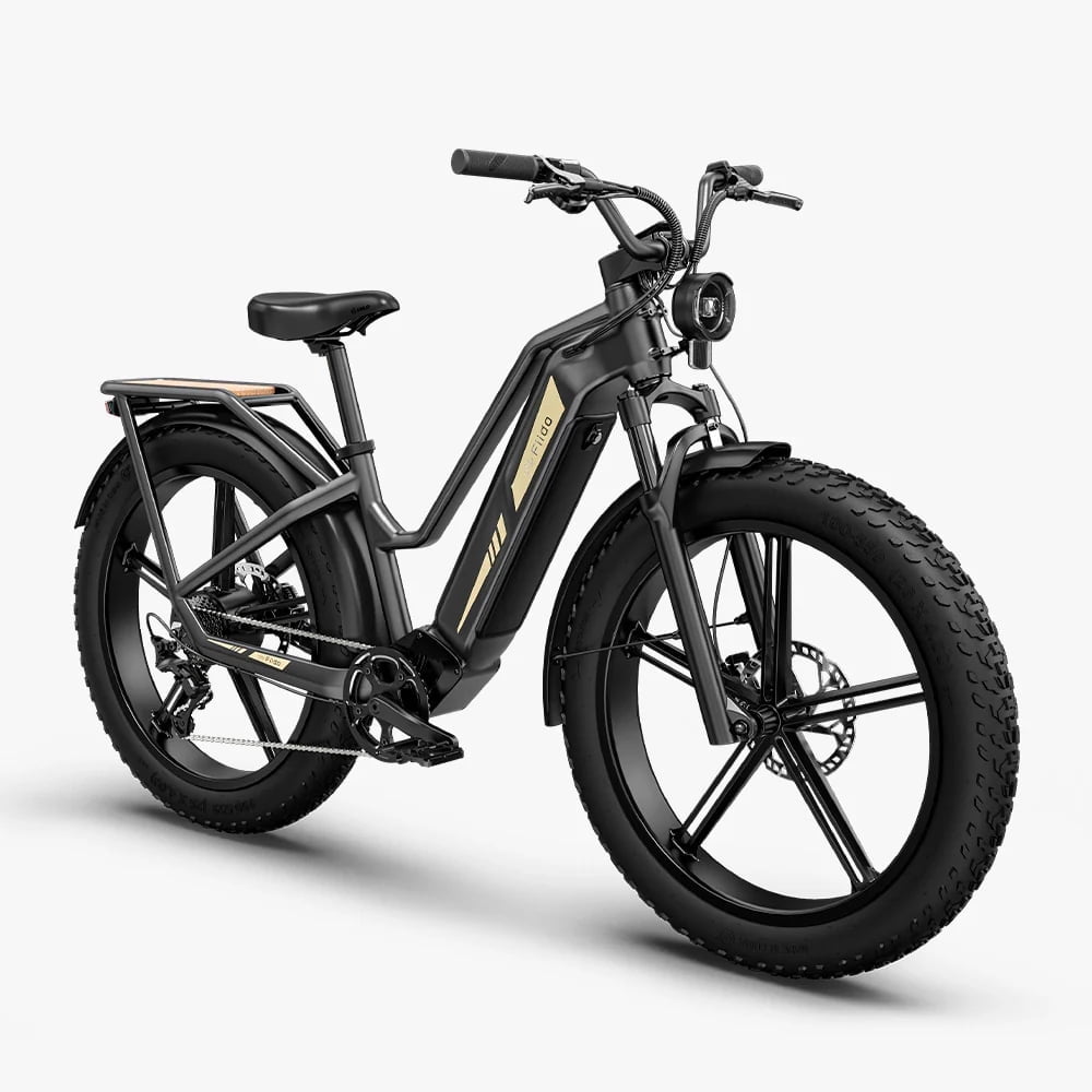 Fiido Titan Robust Cargo E-Bike Torque sensor Class 3 Ebike Fat Tire ...