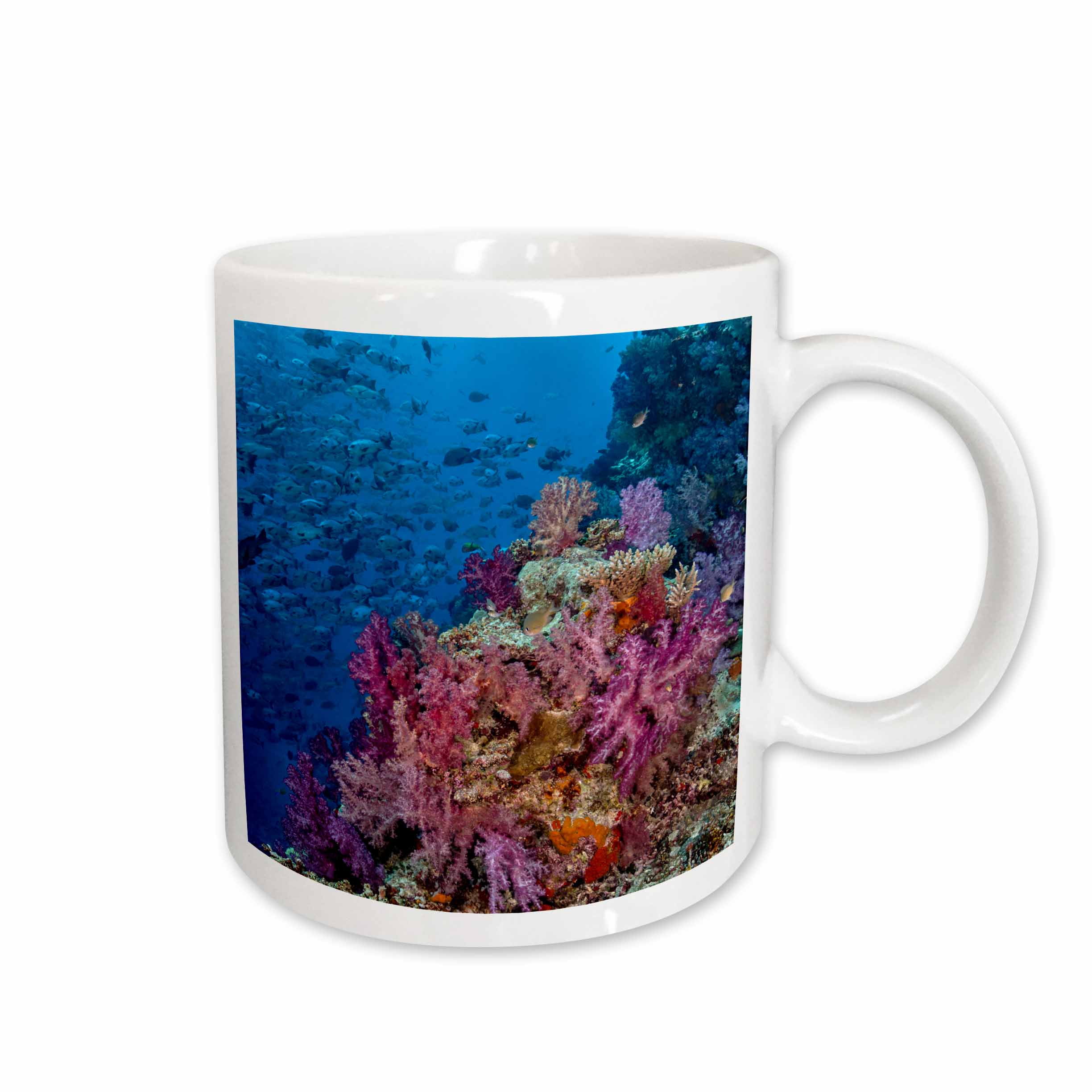 3drose, Fiji. Reef with Coral and Black Snapper Fish, 15oz Mug ...