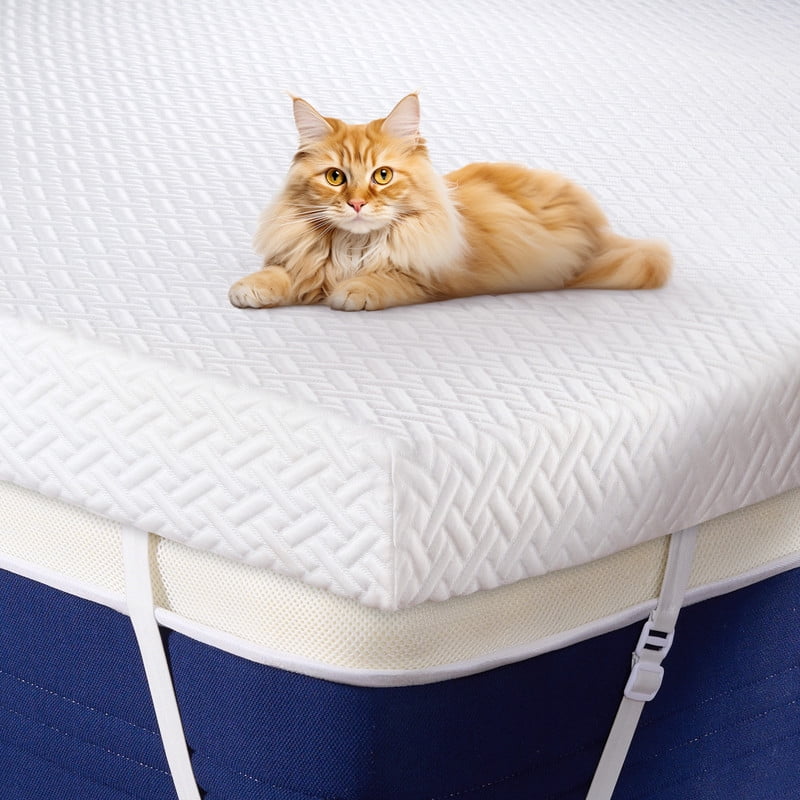 Fijinhom Queen Size 3 Inch Gel-Infused Memory Foam Mattress Topper ...