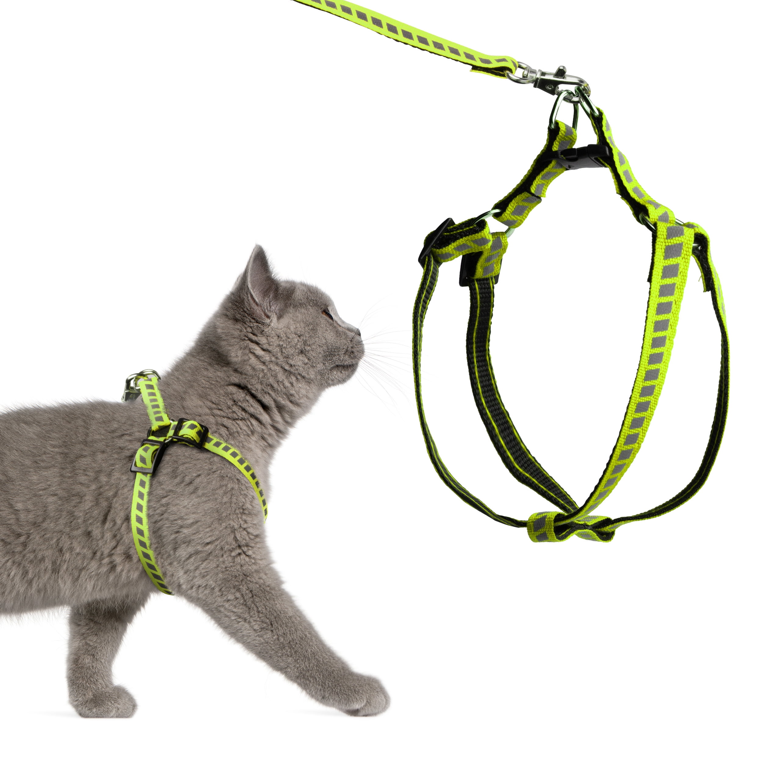 Filbert Cat Harness and Leash Set with Reflective Strip, Cat Harness ...