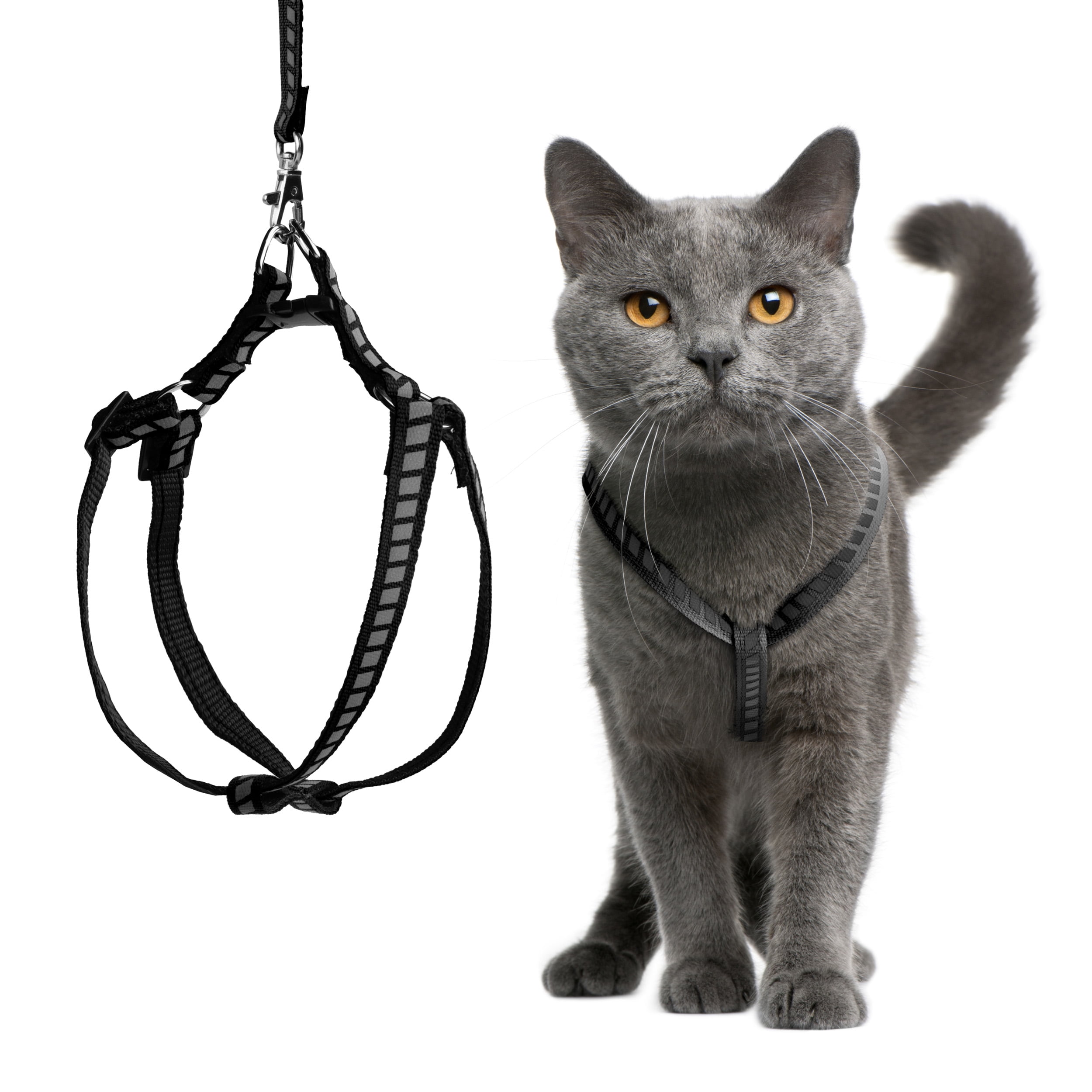 Filbert Cat Harness and Leash Set with Reflective Strip, Cat Harness ...