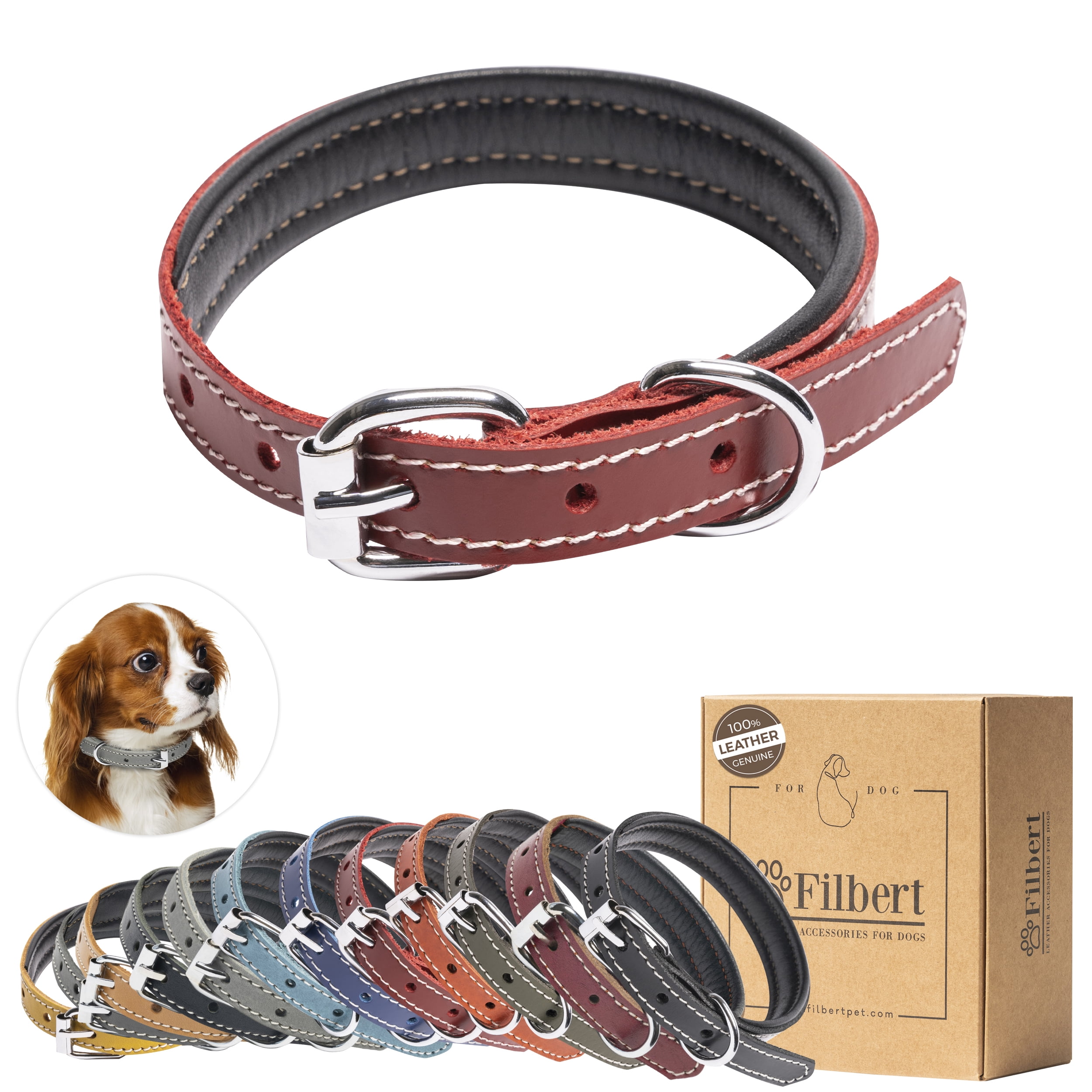 Filbert Padded Leather Dog Collar for Large Dogs, Medium & Small Dogs ...