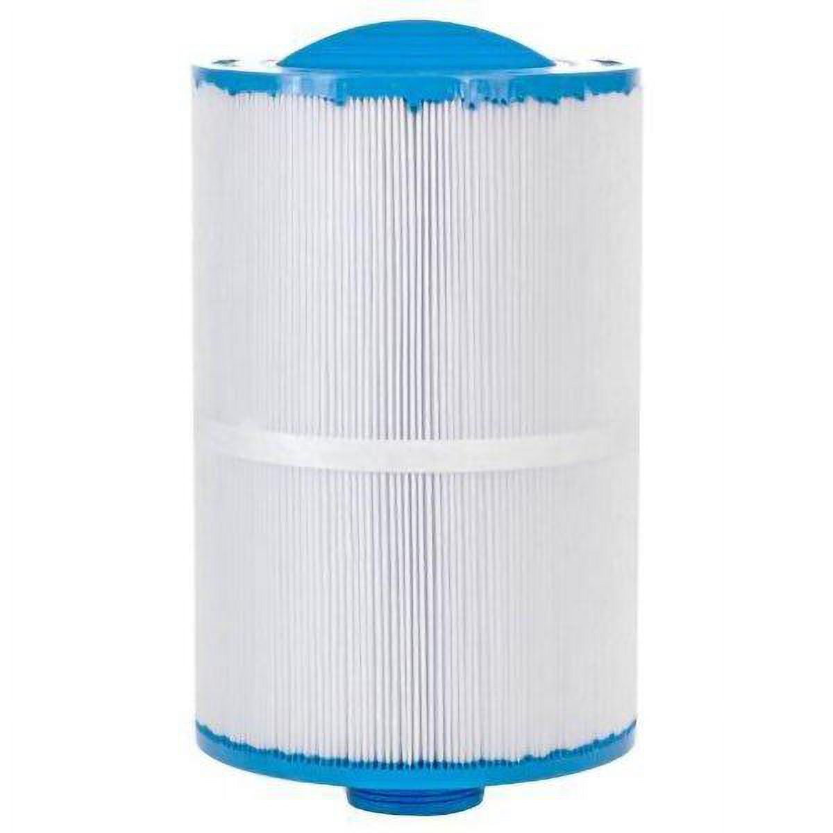 Filbur FC-0301 Replacement Pool Cartridge for La/Advanced Design ...