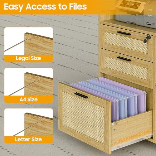 File Cabinet for Home Office, Rattan Lateral Filing Cabinet with ...