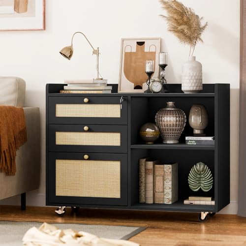 File Cabinet for Home Office, Rattan Lateral Filing Cabinet with ...