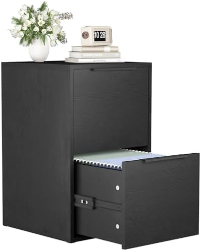 File Cabinet, Wooden 2 Drawers Filing Cabinet for Letter Size/Hanging ...