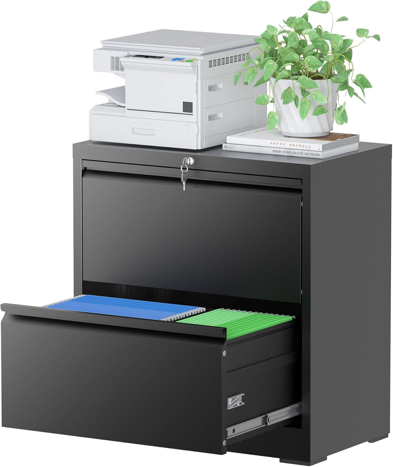 File Cabinets with Lock, 2 Drawer Locking Filing Cabinets for Home ...