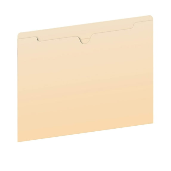 File Jackets, Flat, No Expansion, Manila, Letter Size, Straight Cut Tab ...