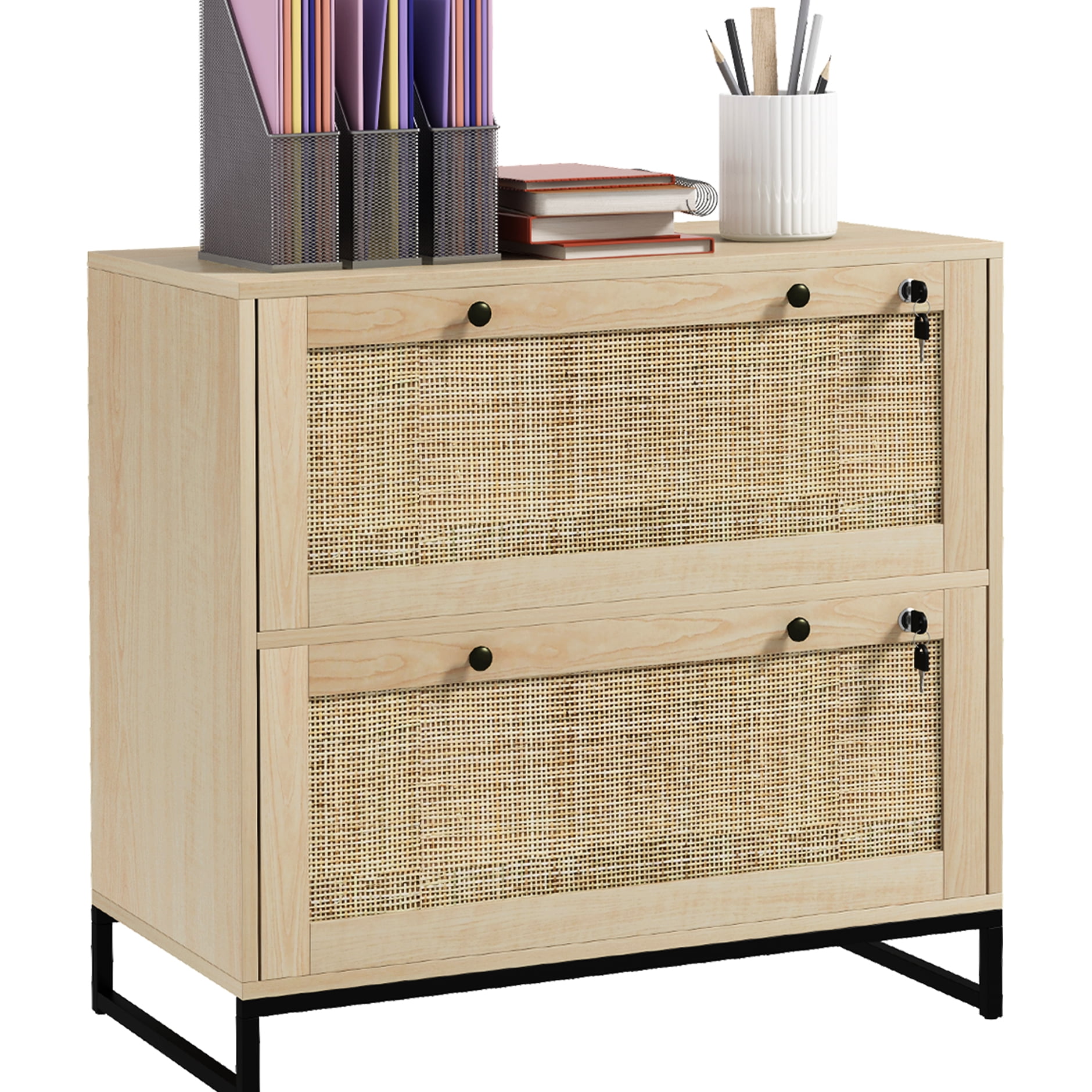 File Locker - Lockable Document Holder 2 Drawers, Adjustable Hanging ...