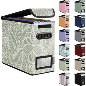 Hanging File Folders Box