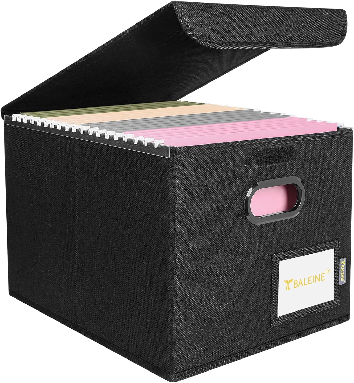 File Organizer Box with Lid, Collapsible File Folder Organizer with ...