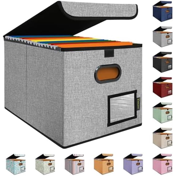 File Organizer Box with Lid, Collapsible File Folder Organizer with ...