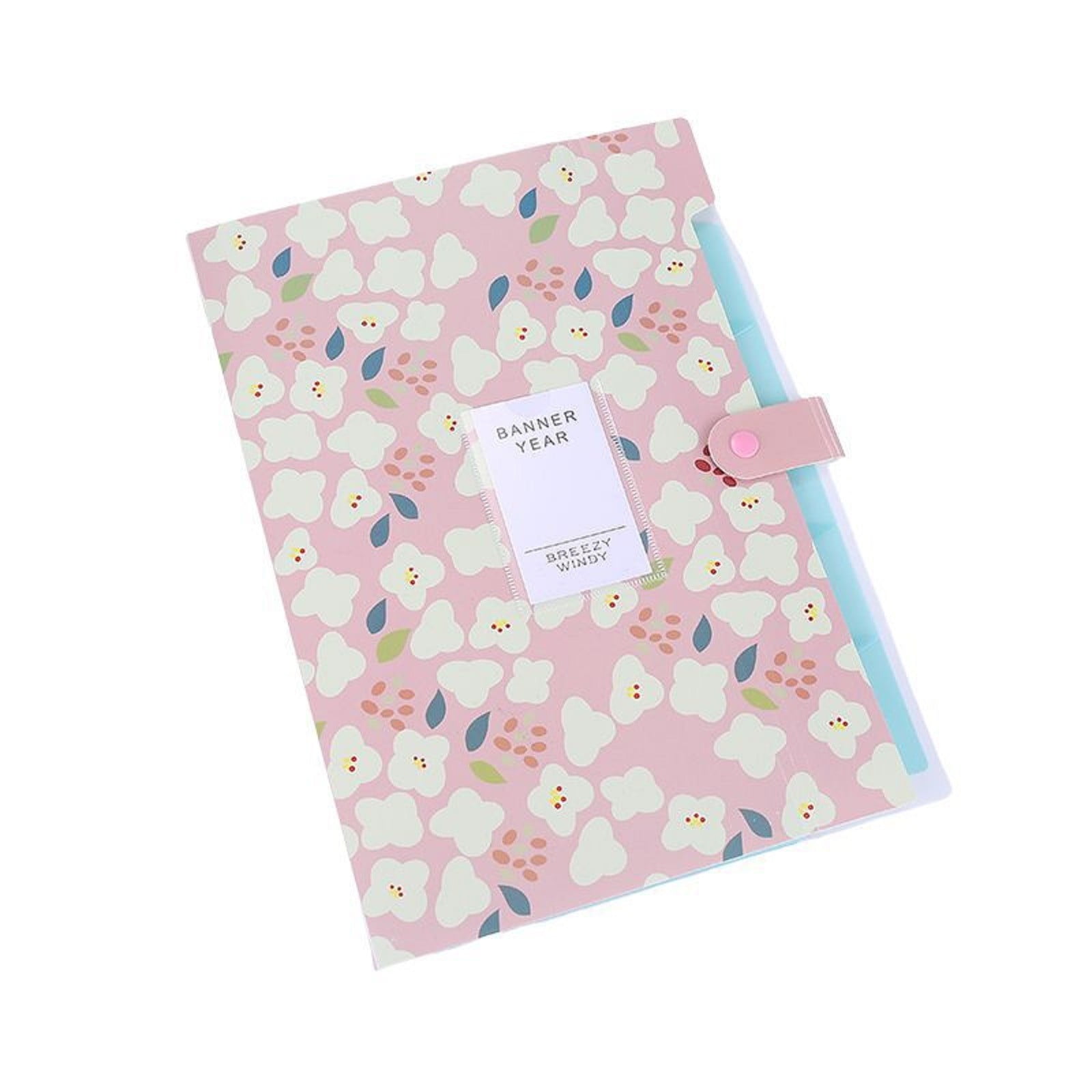 File Organizer Expanding With 5 Pockets Plastic A4 Size File Folders ...