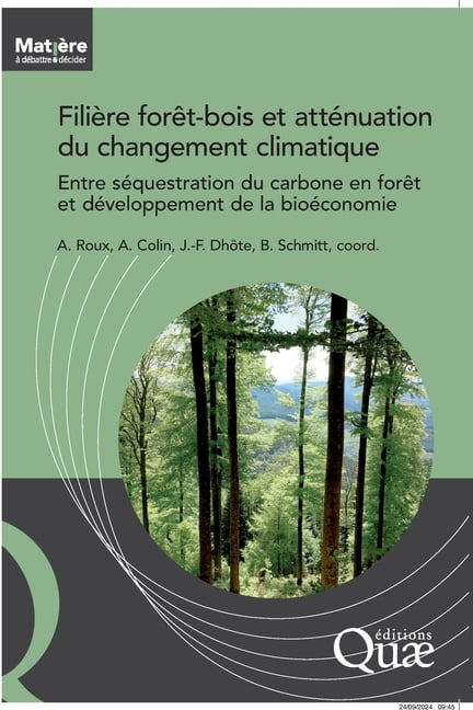 Filière forêt-bois et atténuation du changement climatique: Entre séquestration du carbone en ...