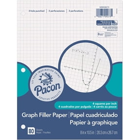 3 Hole Punched Paper