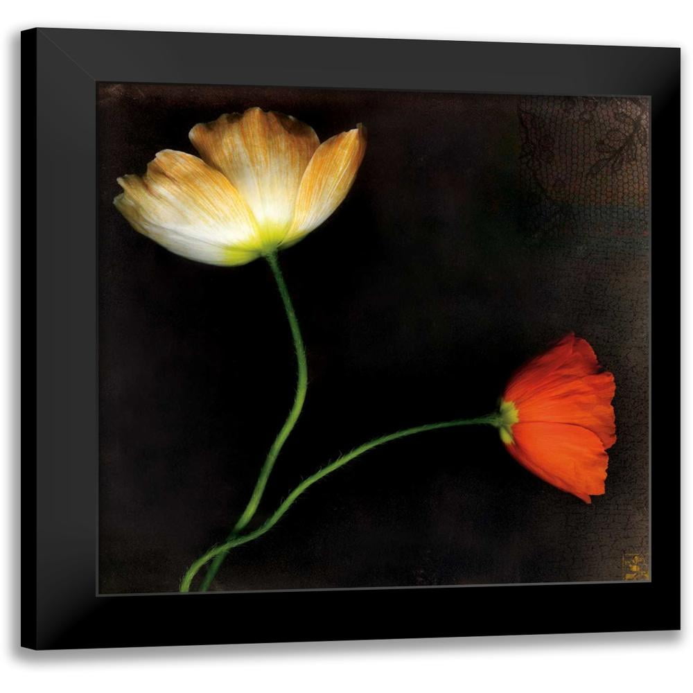 Filler, Rick 15x15 Black Modern Framed Museum Art Print Titled ...