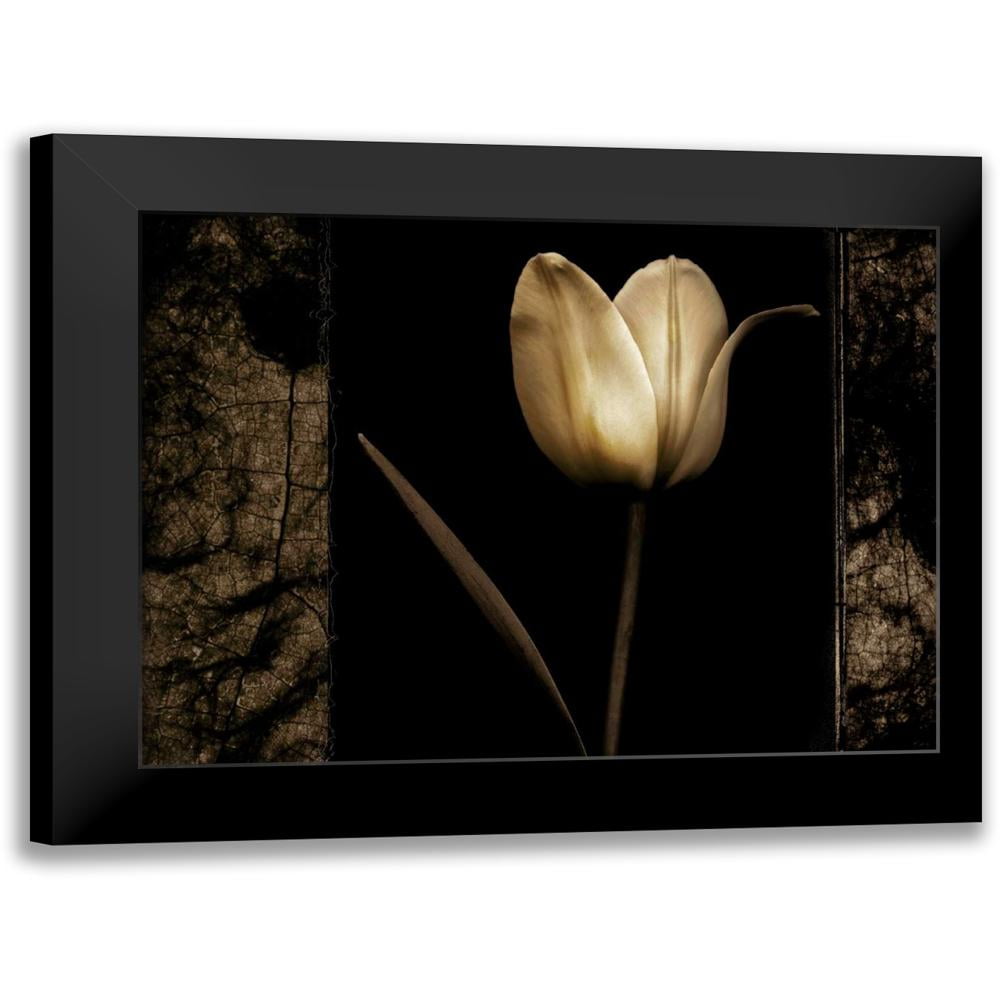 Filler, Rick 24x19 Black Modern Framed Museum Art Print Titled - White ...