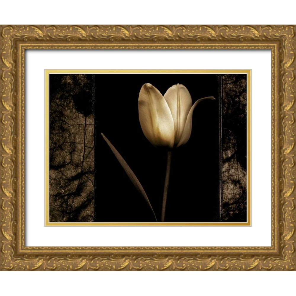 Filler, Rick 24x19 Gold Ornate Wood Framed with Double Matting Museum ...