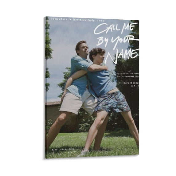 The Film "Call Me By Your Name" Movie Poster (3) Painting On Canvas ...