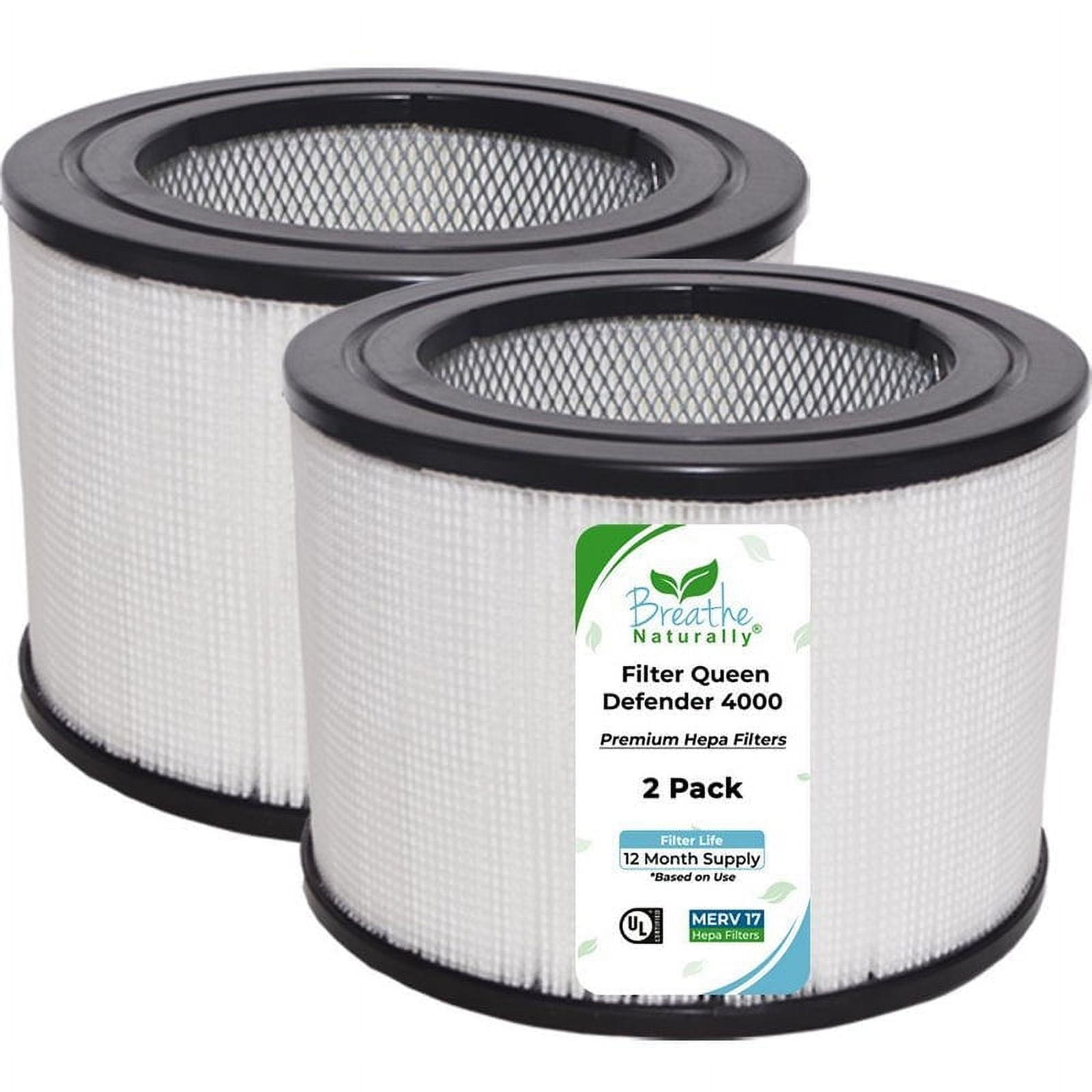 Filter Queen Defender 4000 Series HEPA Filter 2pk - Walmart.com
