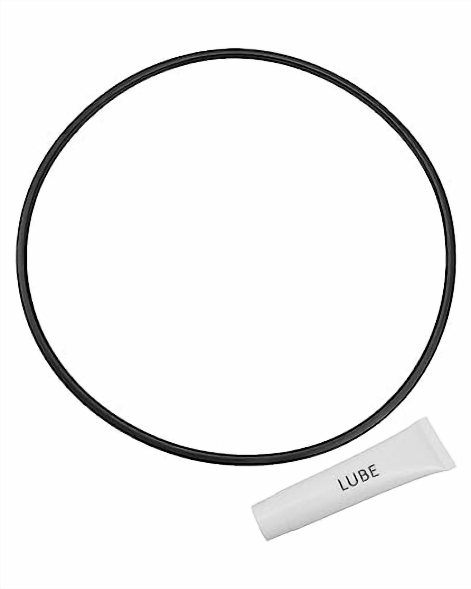 Filter Seal Replace DEX2422Z2 Fit for Hayward Pro-Grid and SwimClear ...