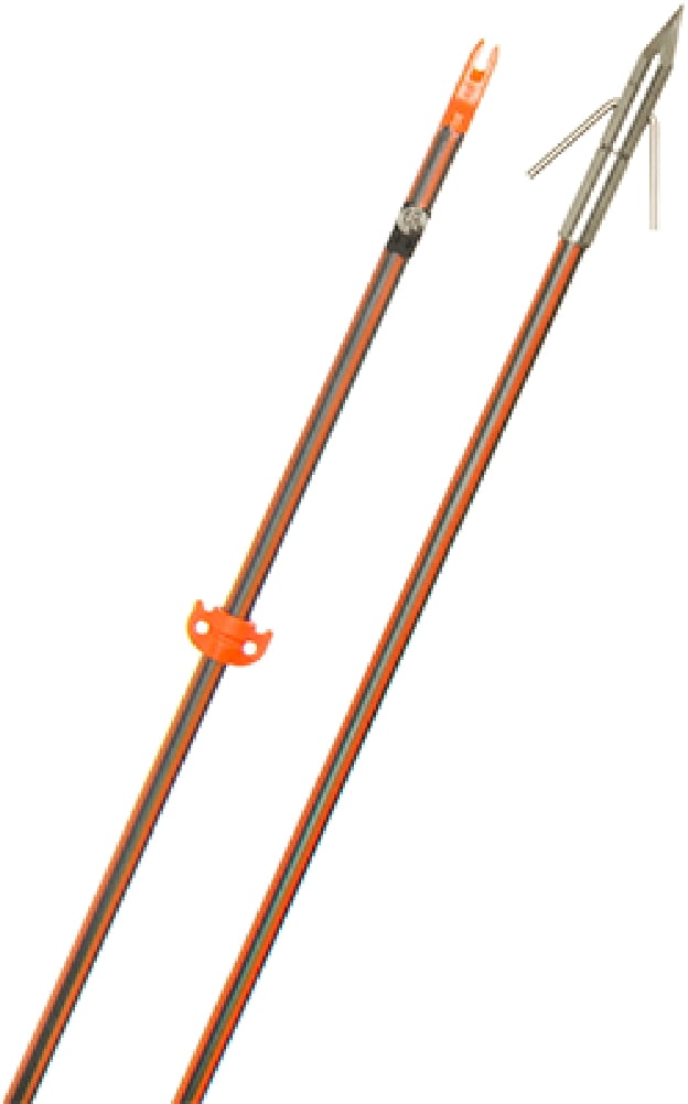 Fin Finder Hydro Carbon IL Bowfishing Arrow with Big Head Pro Point ...