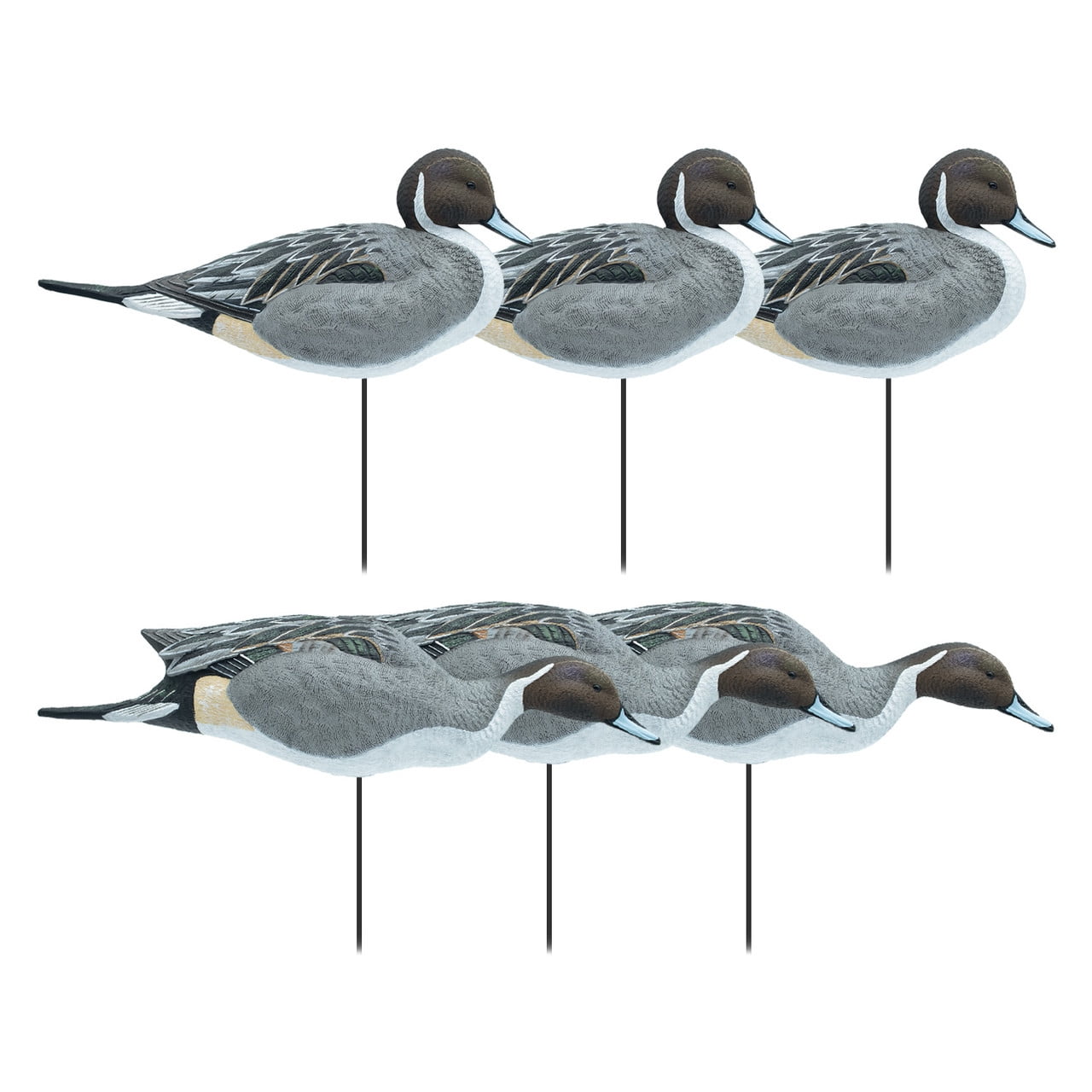 Final Approach Full Body Pintail Decoys, 6 Pack - Walmart.com