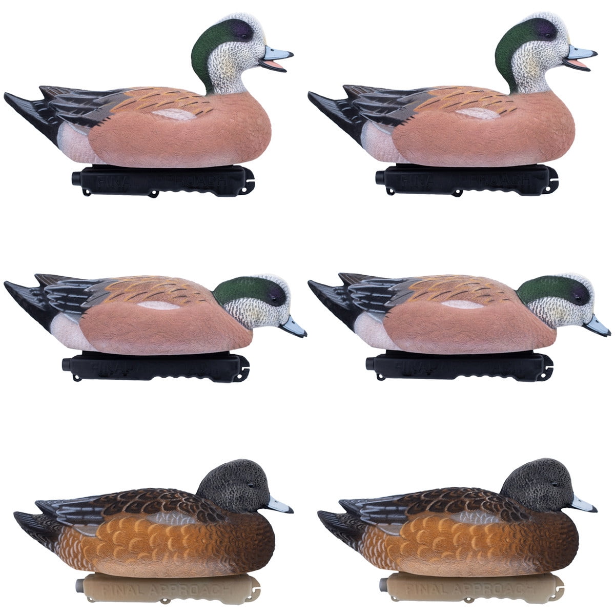 Final Approach Live Fully Flocked Wigeon Floating Duck Decoys, 6 Pack ...