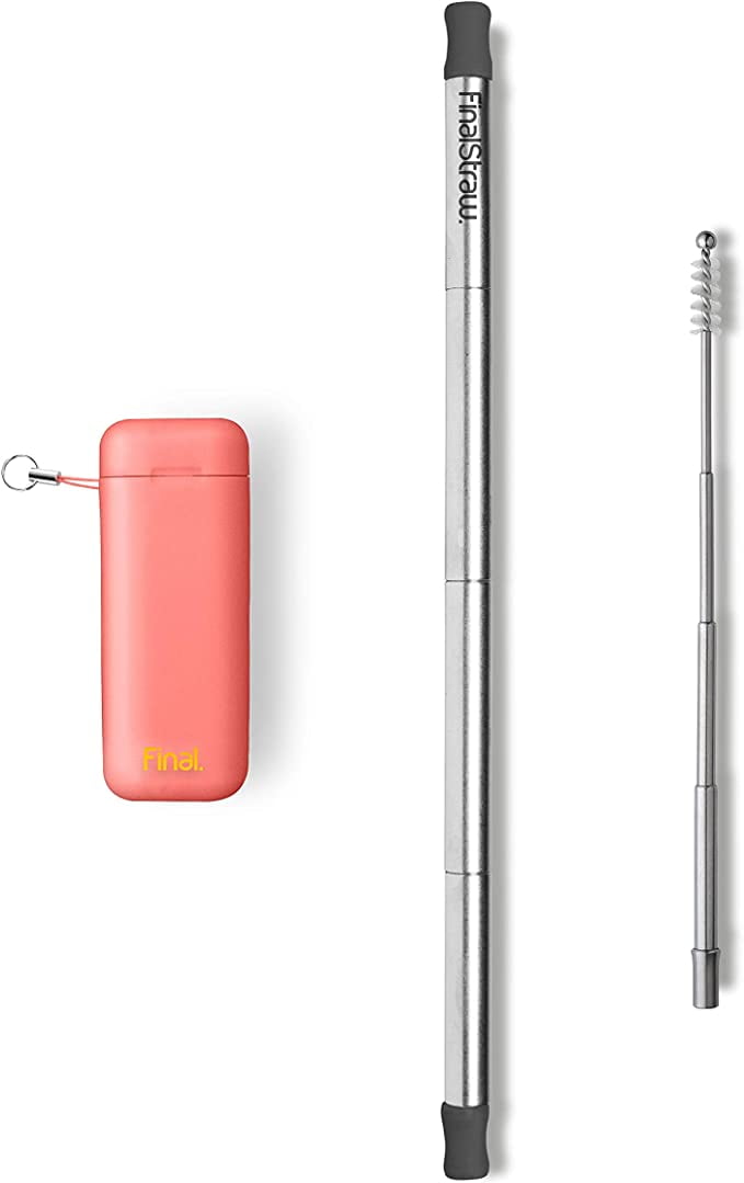 FinalStraw: Coral Case, Silver Straw - Walmart.com