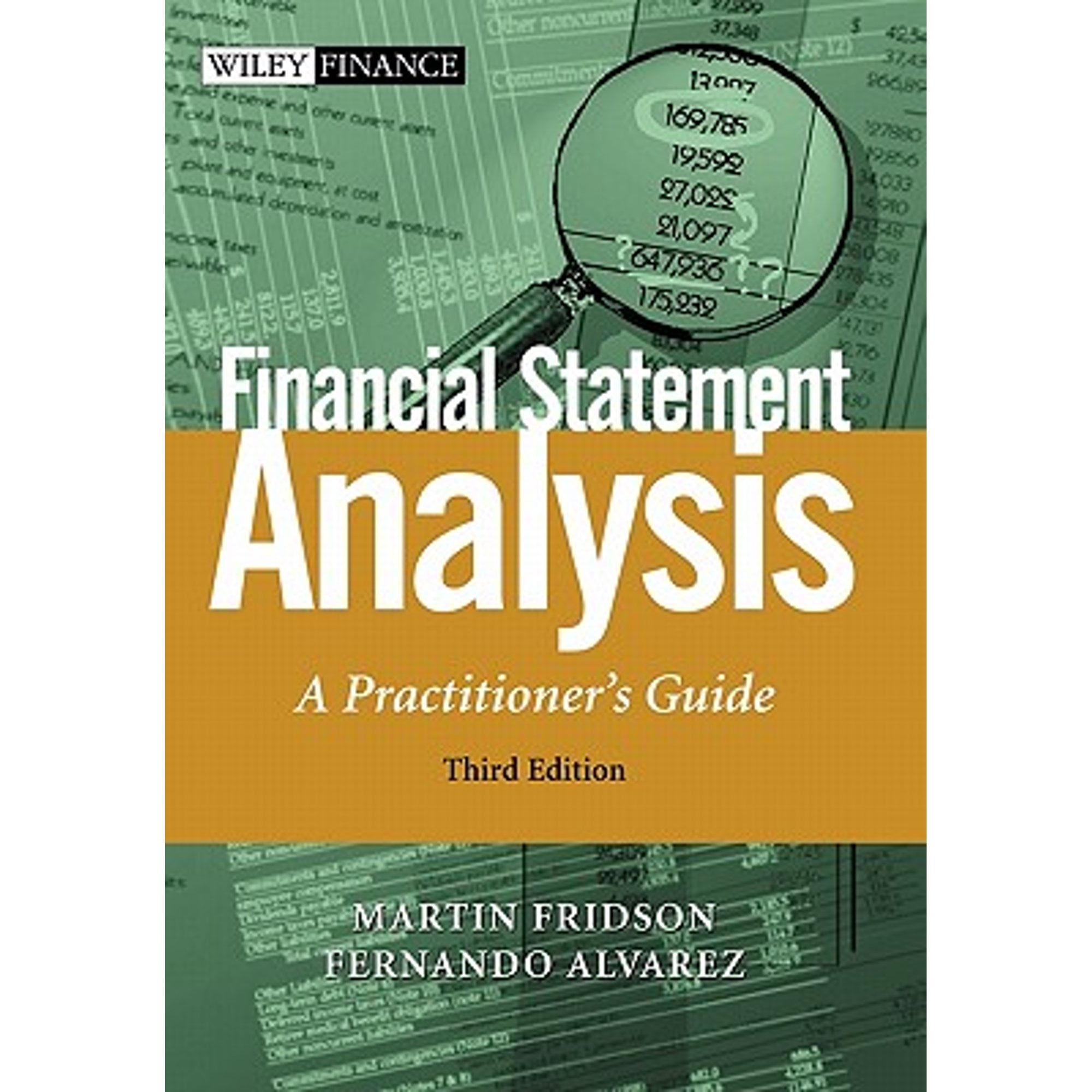 Financial Statement Analysis: A Practitioner's Guide (Hardcover) by ...