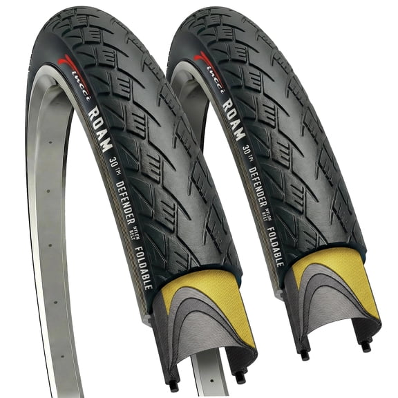 Electric Bike Tires