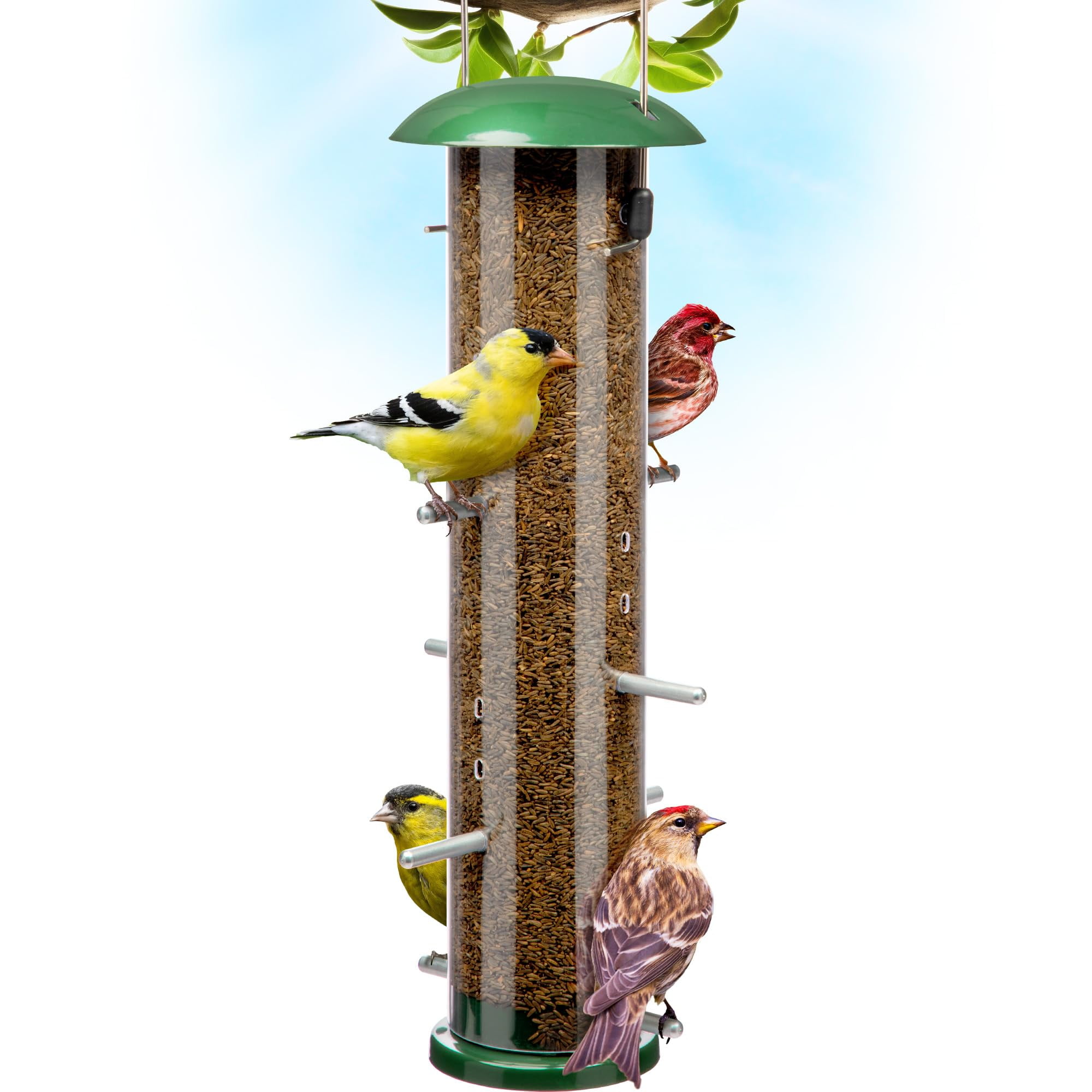 Finch Bird Feeder for Outdoors (16 AIS1 Ports) Thistle & Nyjer Seed ...