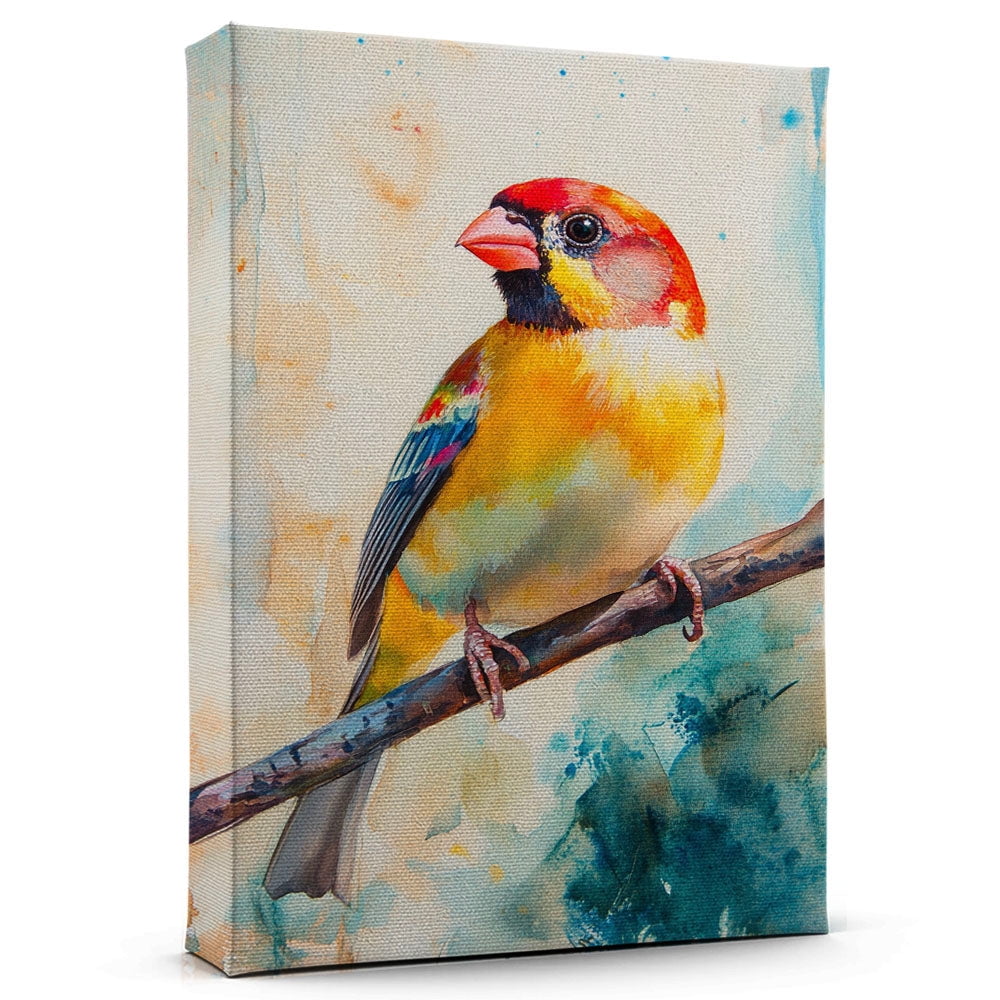 Finch Java Sparrow Pictures Wall Decor - Colorful Finch Java Sparrow ...