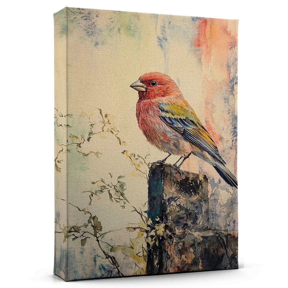 Finch Male House Canvas, Colorful Finch Male House Picture Canvas Wall ...