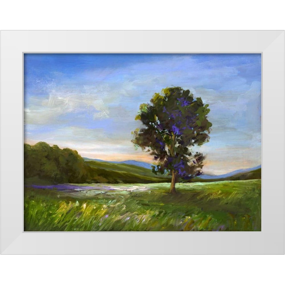 Finch, Sheila 32x25 White Modern Wood Framed Museum Art Print Titled ...