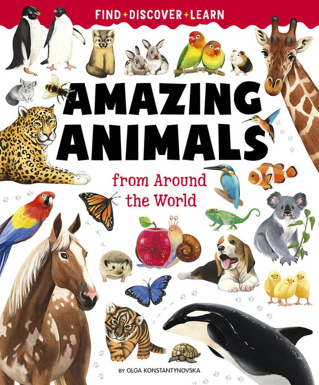 Find, Discover, Learn Big Book of Amazing Animals, (Hardcover ...