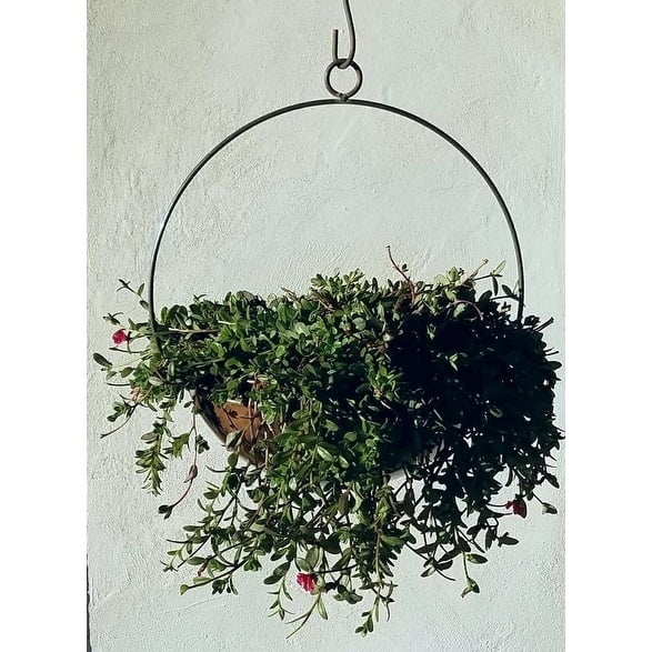 Find Your Passage LLC Blue Moon Planter Gold - Walmart.com