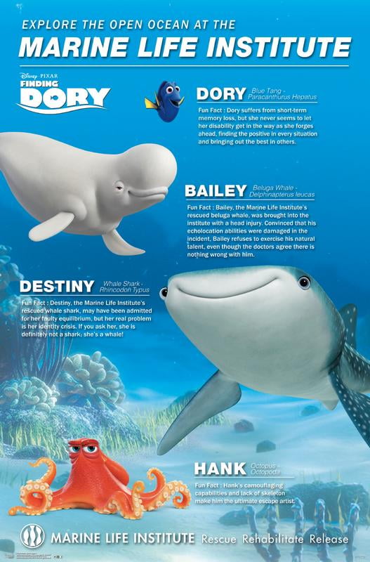 Finding Dory - Group Poster and Poster Mount Bundle - Walmart.com
