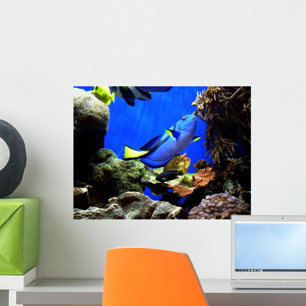 Finding Nemo's Dory Wall Mural by Wallmonkeys Peel and Stick Graphic ...