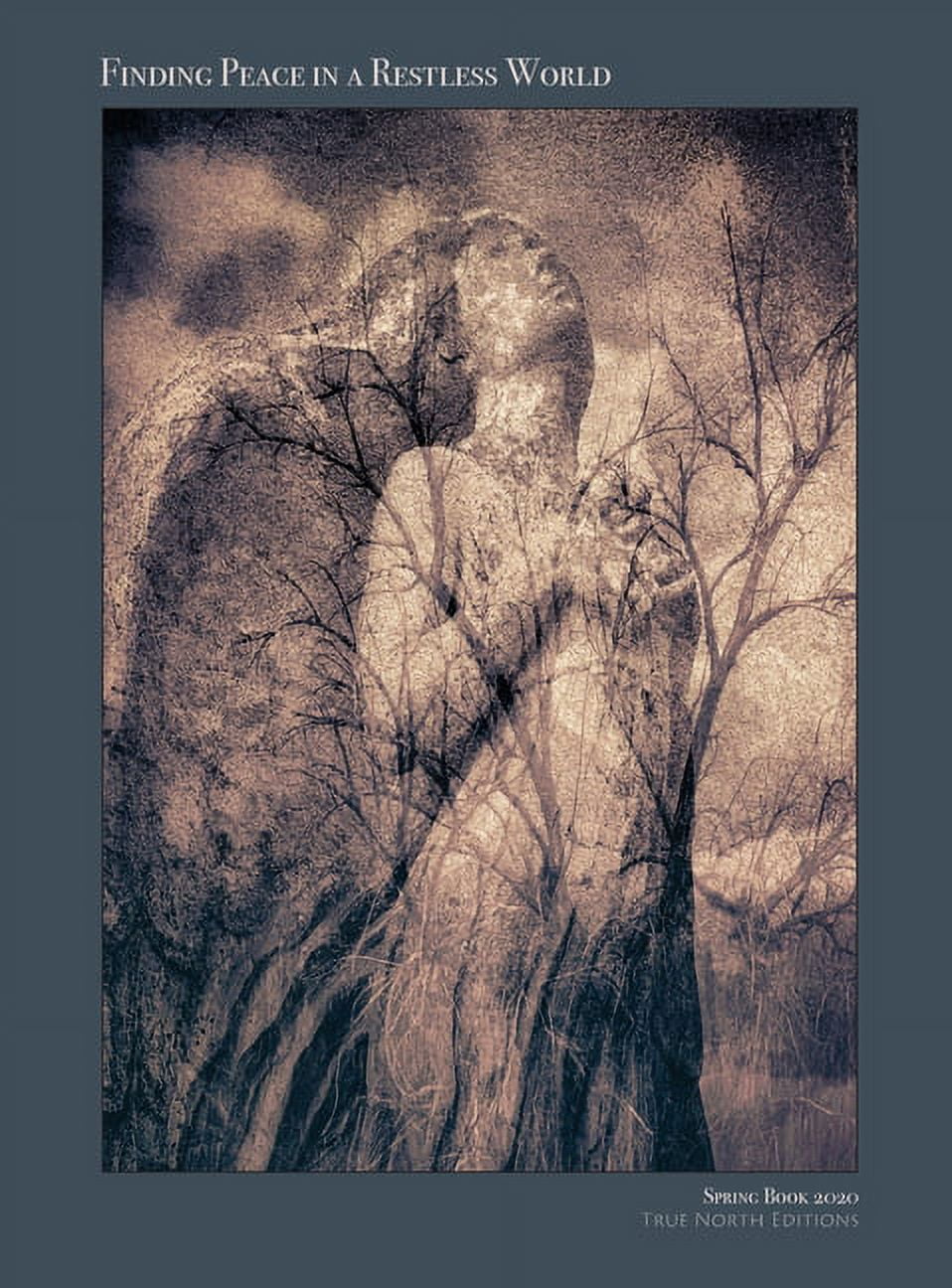 Finding Peace in a Restless World: Spring Book 2020 - Walmart.com