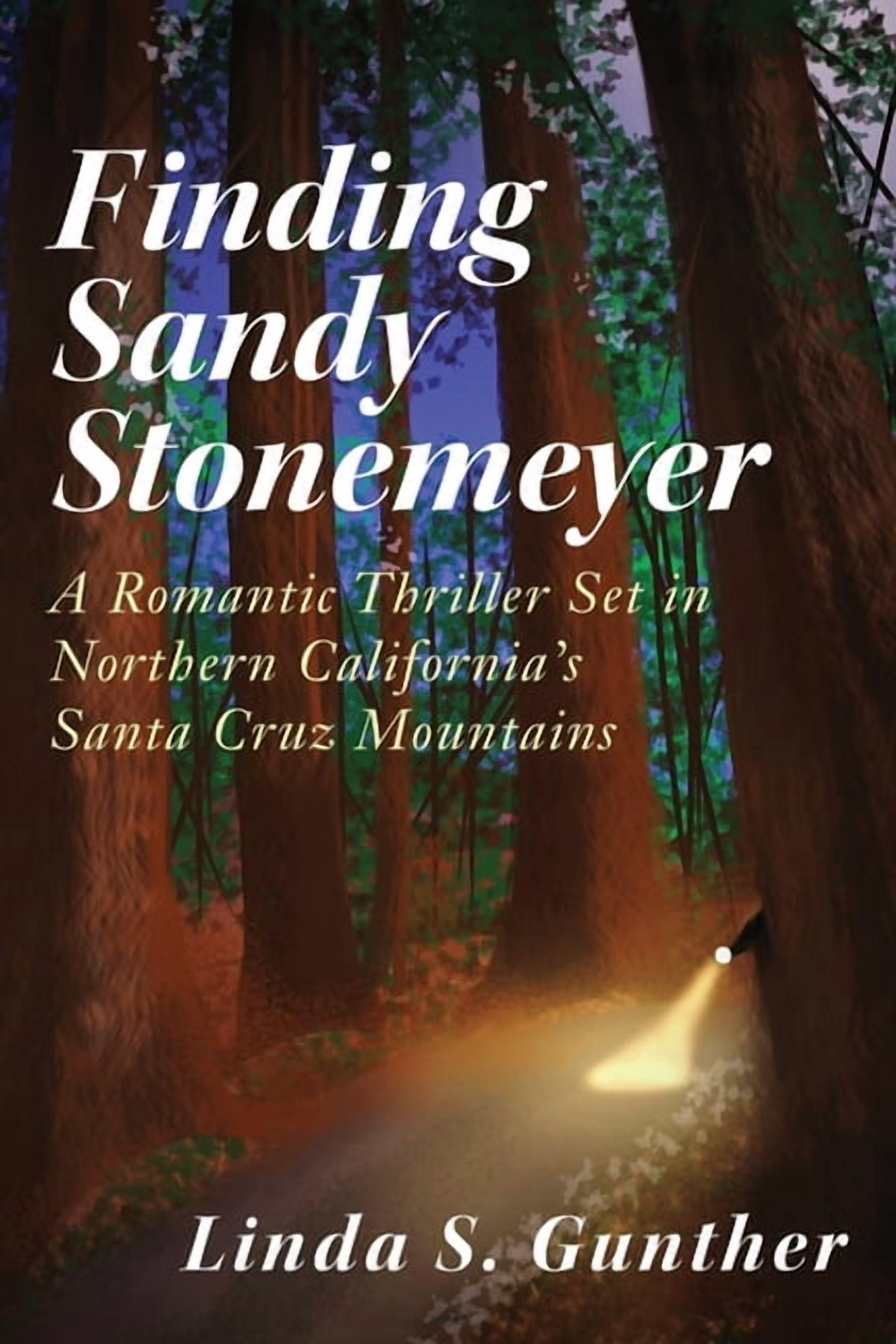Finding Sandy Stonemeyer: A Romantic Thriller Set in Northern ...