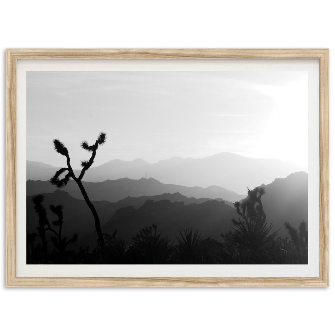 Fine Art Joshua Tree Print - Black And White Desert Landscape Fine Art ...